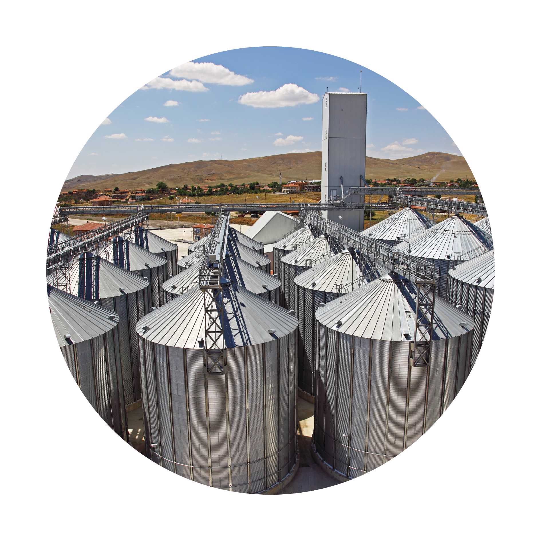Atta Chakki & Flour Mill Solutions | CHOYAL GROUP